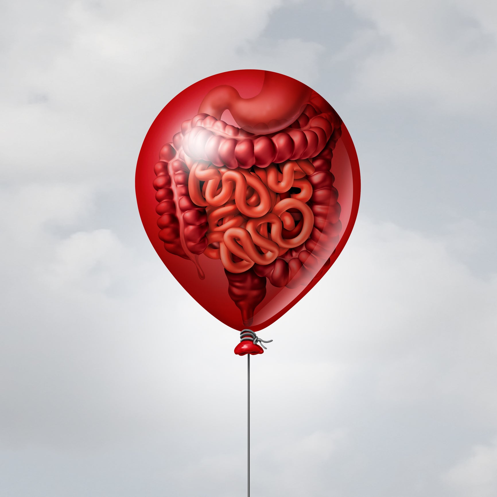 Bloat Be Gone: Do Probiotics Help With Bloating? – Novomins Nutrition